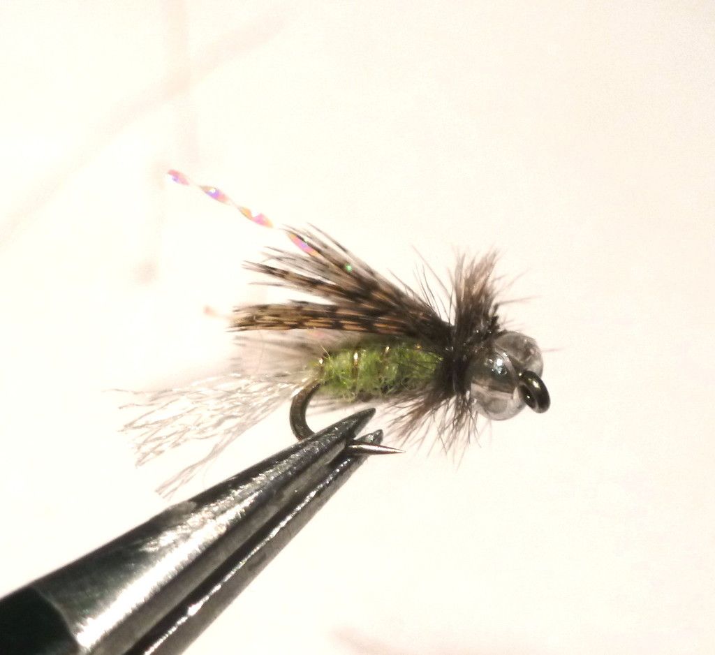 Futility & Caddis Hatches